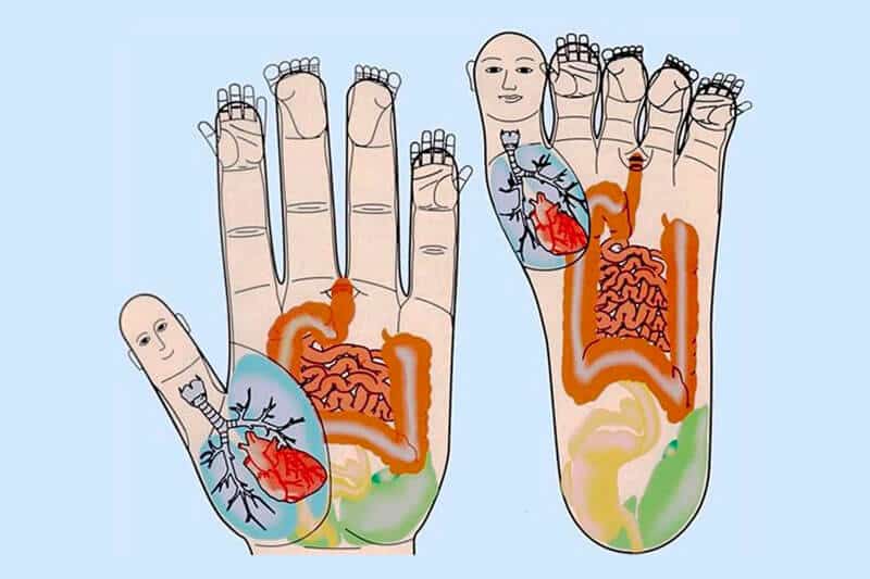 Su Jok - ISEA - Escuela de Medicina China